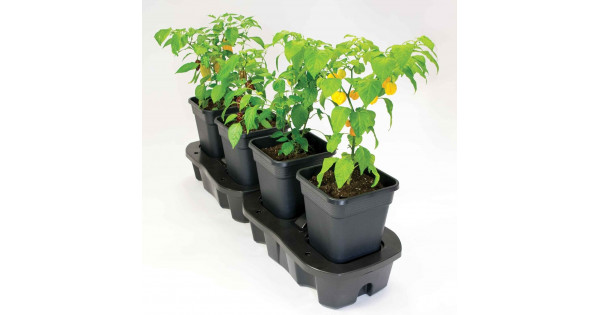 Buy Self Watering Quadgrow Planter Online - Other Garden Equipment ...
