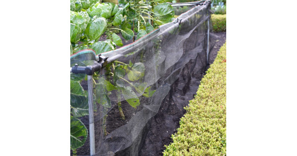 Buy Snail Barrier Netting Online - Against insects