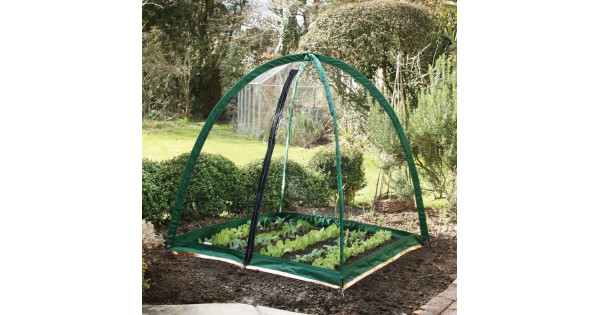 Buy Popadome Crop Protection System (1.2m X 1.2m) Online - Plant Care ...