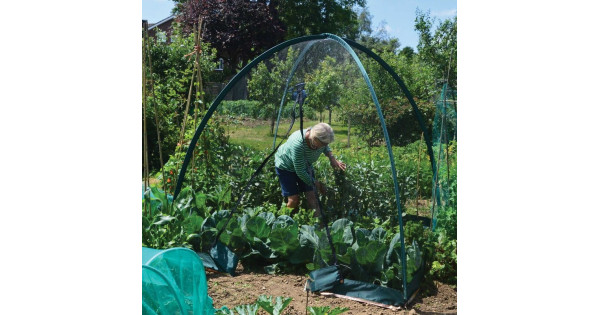 Buy Popadome Crop Protection System (2m X 2m) Online - Plant Care & Earth