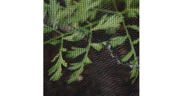 Buy Black Insect Mesh Netting Online - Against insects