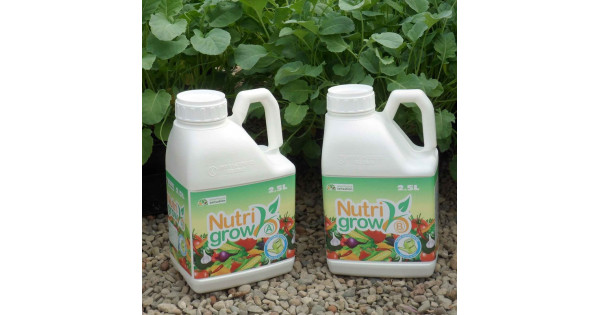 Buy Nutrigrow Plant Feed Online - Plant Care & Earth
