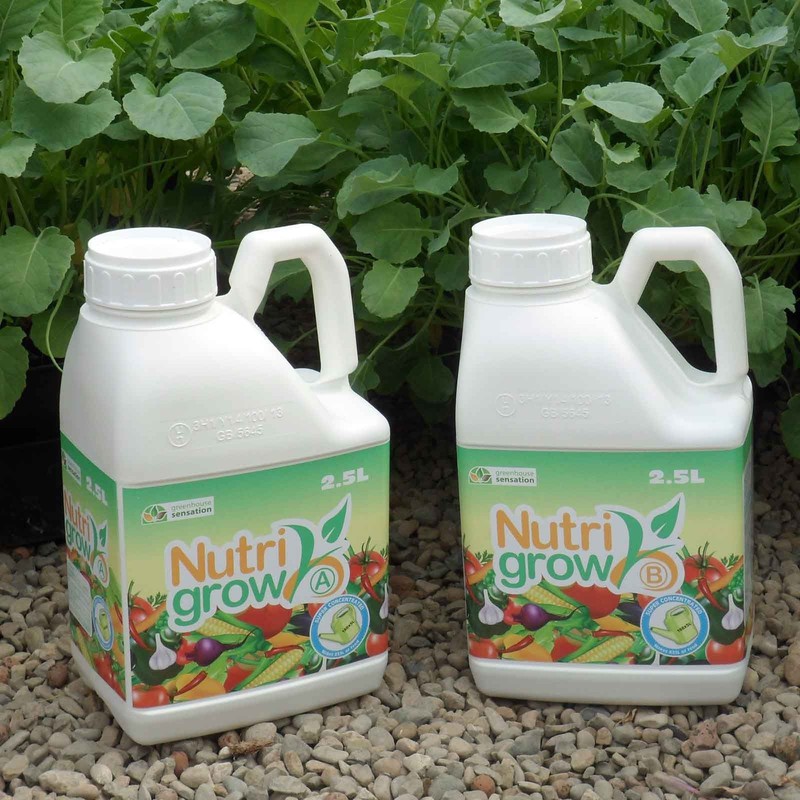 Buy Nutrigrow Plant Feed Online - Plant Care & Earth