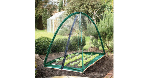 Buy Popadome Crop Protection System (1.8m X 0.9m) Online - Flower Pots ...