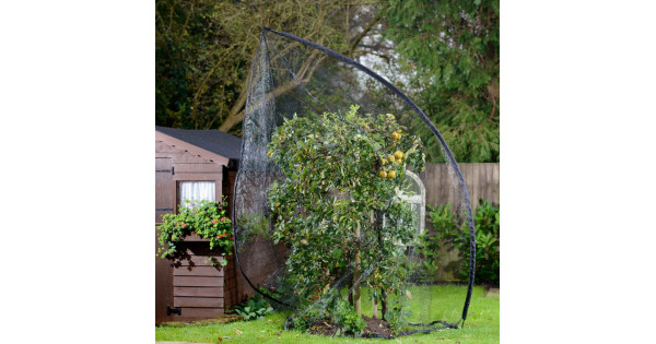 Buy Popadome Fruit Tree Cover (3.5m High) Online - Flower Pots & Stands