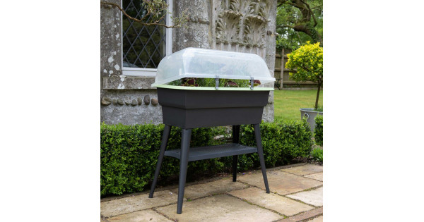 Buy Self Watering Grow Table Online - Plants & Plant Care