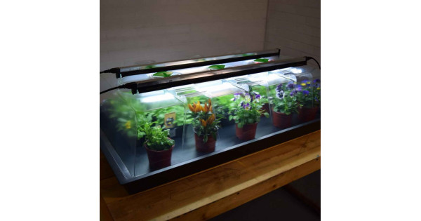 Buy Geopod Heated Propagator With Lights Online - Plants & Plant Care