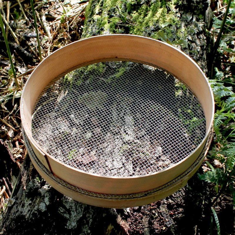 Buy Traditional Wood Garden Riddle Online - Green plants & flowering plants