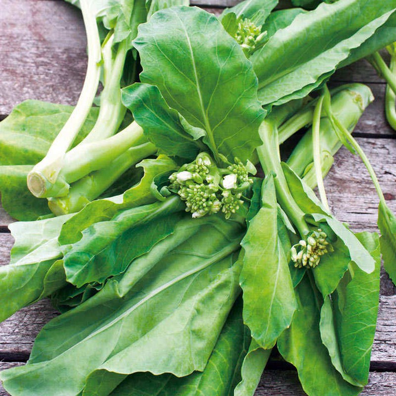 Buy Wok Broc (Chinese Broccoli) Seeds Kichi Online - Plant Seeds